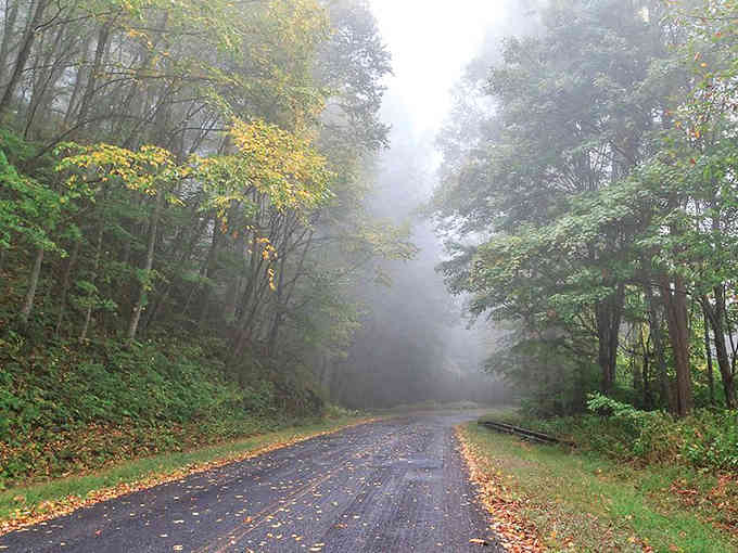 That misty mountain road isn't leading nowhere; it's taking you somewhere most folks never find.
