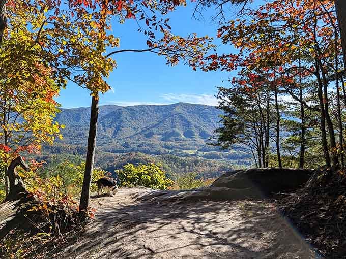 These overlooks deliver scenery so stunning, you'll run out of phone storage before you stop taking photos.