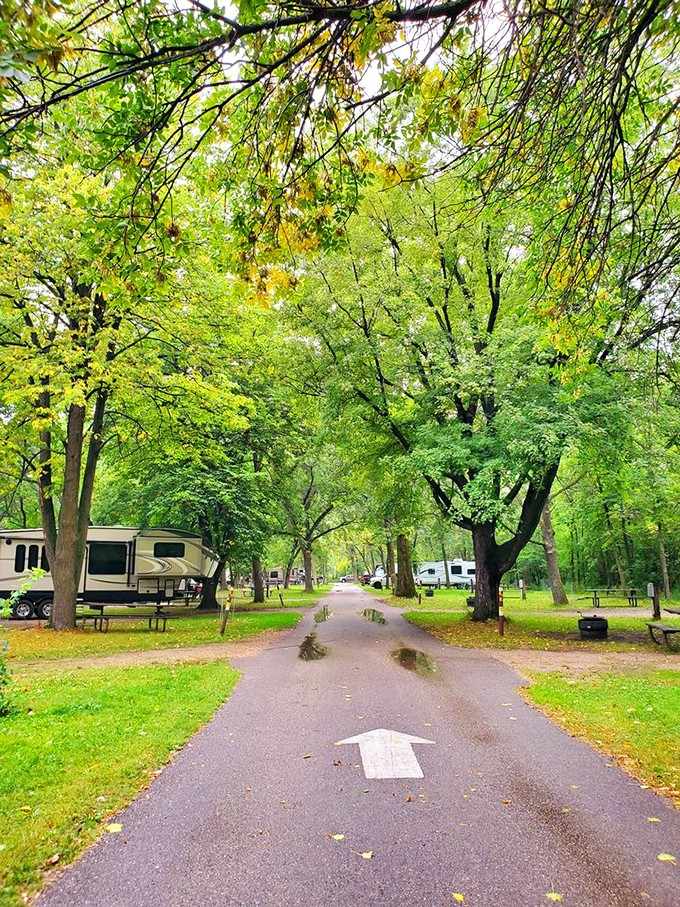Tree-lined campground roads that look like nature's own cathedral&mdash;minus the hard pews and judgmental stares from other parishioners.