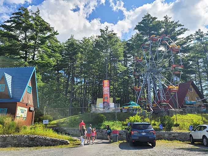 That Ferris wheel peeking through the trees promises views that'll make you remember why upstate exists.