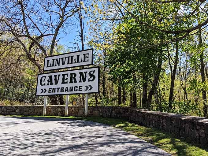 That classic roadside sign promises underground adventures, and trust us, it absolutely delivers on every word.