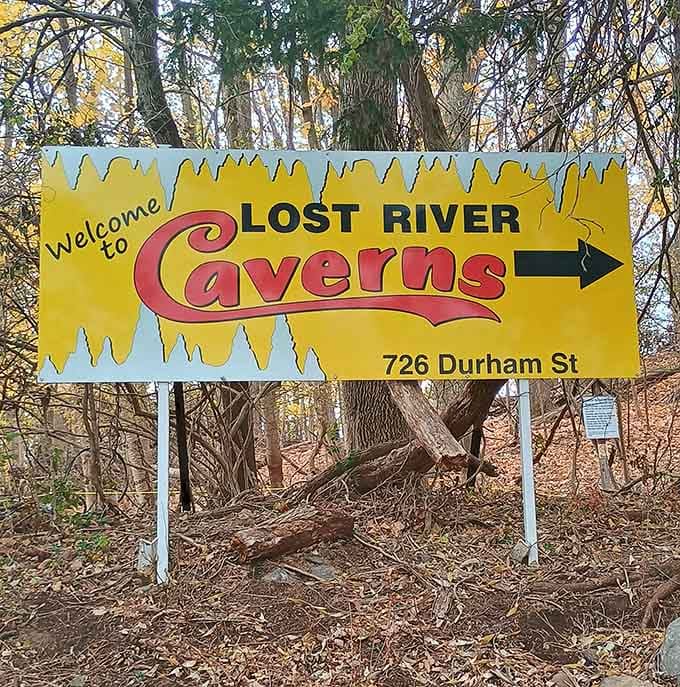 That cheerful sign marks your gateway to subterranean wonders that'll make you rethink everything about caves.