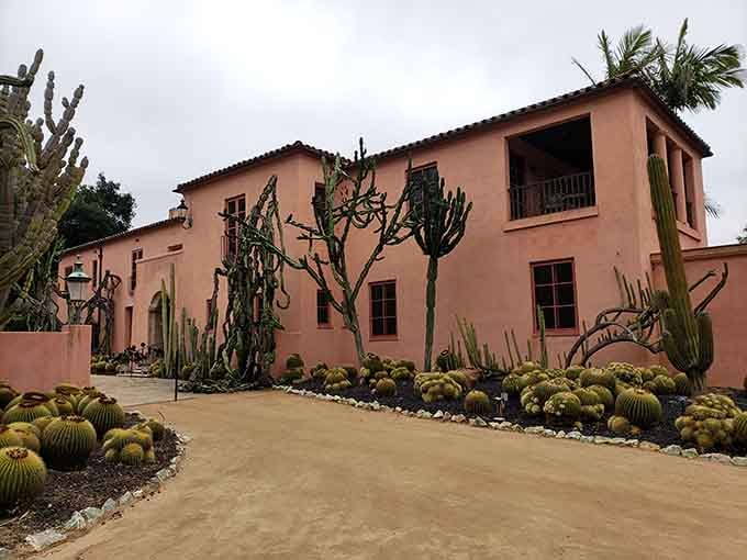 When water lilies and lotus flowers team up, they create a scene that belongs on a postcard from paradise.