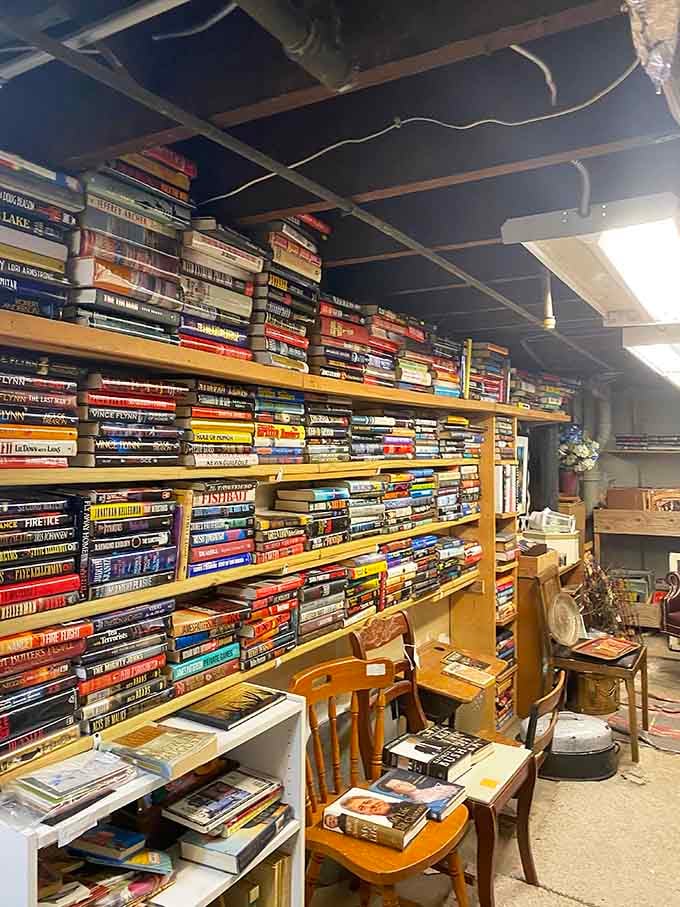 Floor-to-ceiling books stacked like literary Jenga, where one person's discarded paperback becomes your weekend obsession.