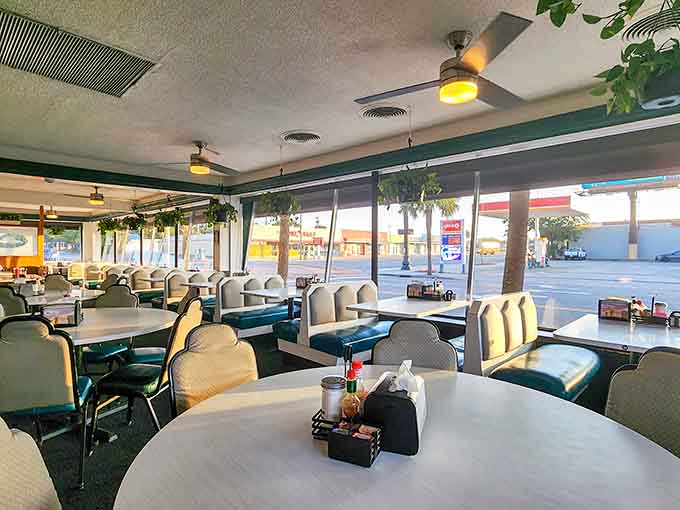 Comfortable booths, natural light, and hanging plants create the kind of breakfast atmosphere that makes you want to linger.