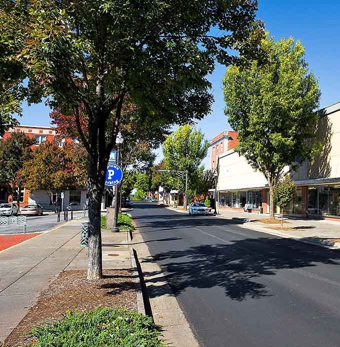 Tree-lined streets and historic buildings create the kind of downtown where people still wave to strangers.