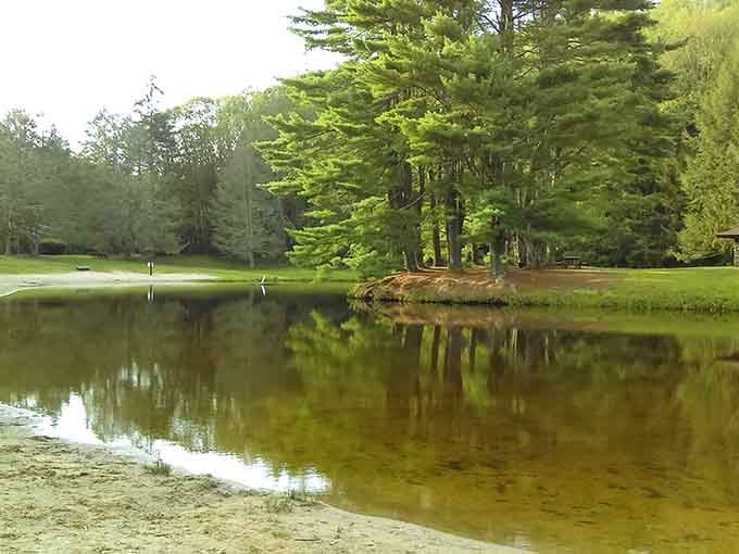 When the pond becomes a mirror, you know you've found Connecticut's secret spot for contemplation.