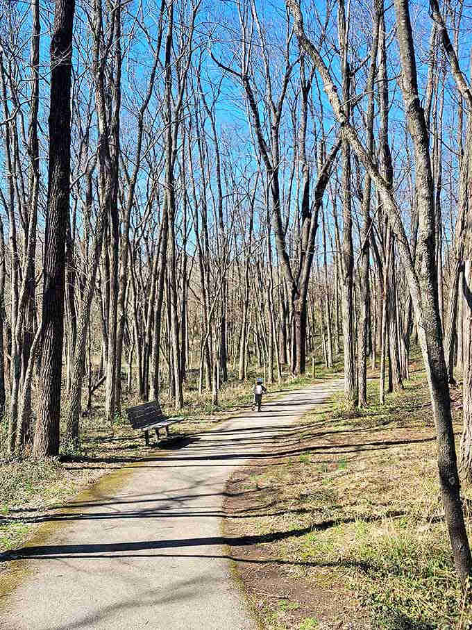 These peaceful woodland trails prove that the best therapy doesn't require a couch or copay.