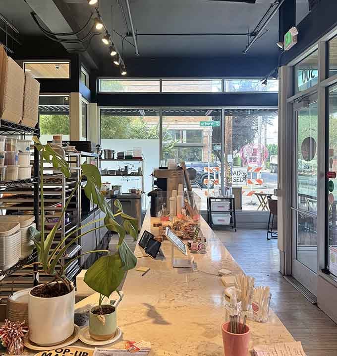 Clean lines, potted plants, and natural light create a space where donuts are clearly taken seriously as an art form.