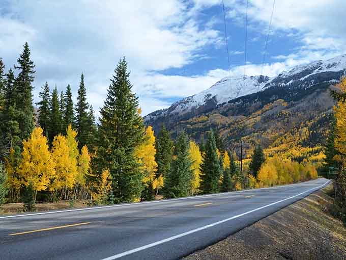 Fall colors paint the mountainside in gold while snow-capped peaks remind you winter's always watching from above.