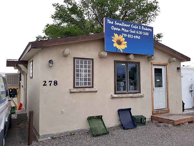 The Sunflower Cafe proves that charm doesn't require a corporate budget or a focus group.