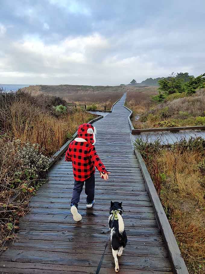 Nothing says "perfect day" quite like a kid, a dog, and a wooden path leading to coastal magic.