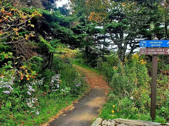 Wildflowers line the path to Bascom Lodge like nature's own welcome committee greeting weary hikers.