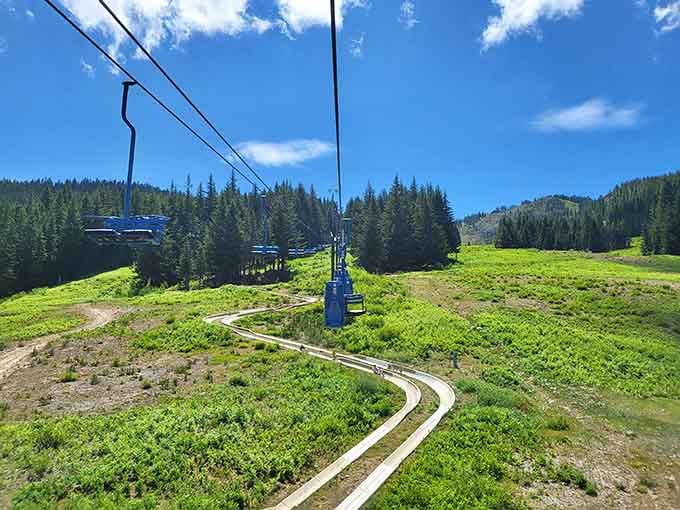 That chairlift ride up gives you time to plan your strategy or question your life choices.