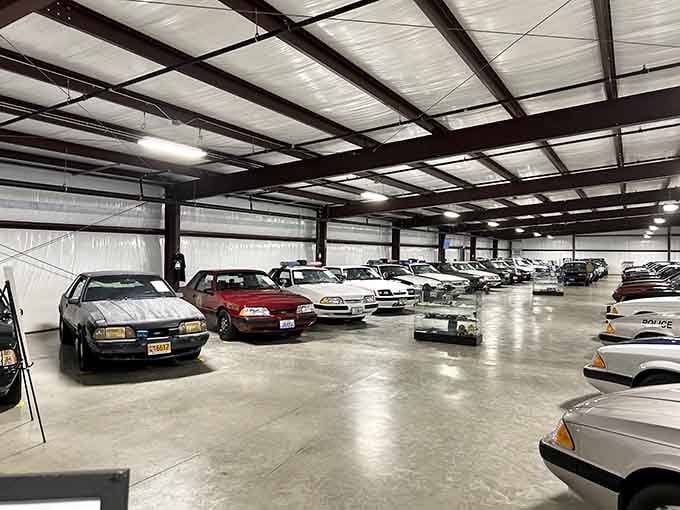 Row after gleaming row of Mustangs stretching into the distance like automotive poetry in motion.