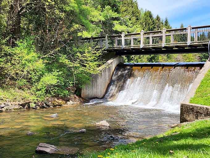 The dam at New Germany creates a waterfall that's more soothing than any meditation app you've downloaded and never used.