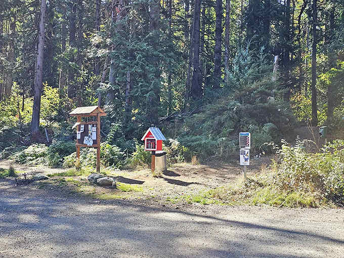 The trailhead features charming little libraries and birdhouses, because even woodland creatures deserve a good read and cozy home.