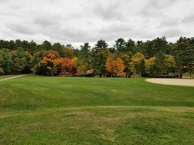 Open green spaces meet fall foliage in a setting that makes you forget you're technically still camping.