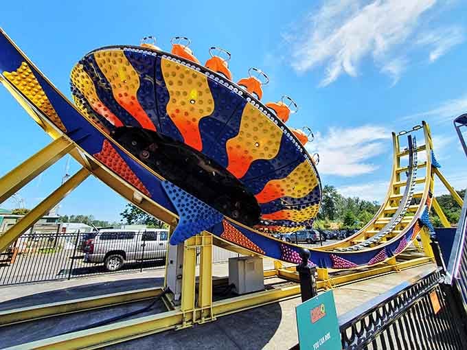 This spinning pendulum ride looks like it's auditioning for a physics textbook's "bad decisions" chapter.