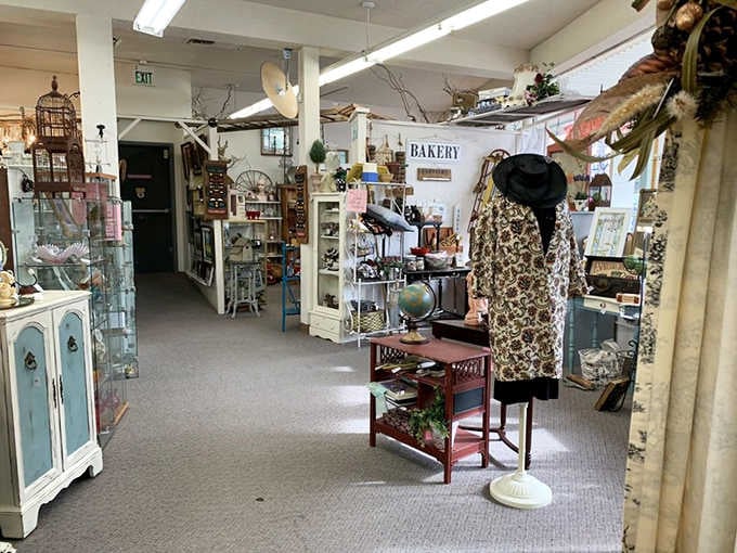 One aisle leads to three more, each packed with treasures that make you question your storage space.