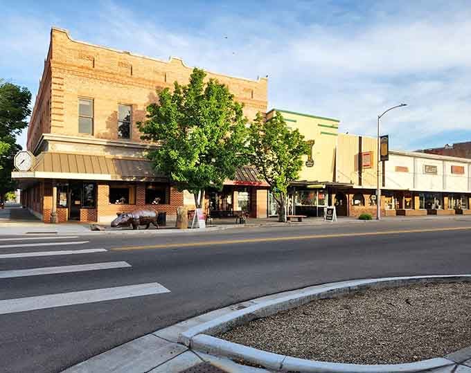 Golden hour bathes historic storefronts in warm light, where every building tells a story worth discovering over coffee.