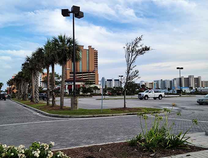 Palm trees swaying in the breeze while you decide which restaurant to try tonight? That's retirement done right.