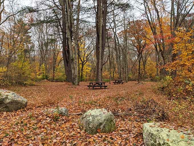 Fall foliage and picnic tables prove that nature's dining room beats any restaurant patio you've ever visited.