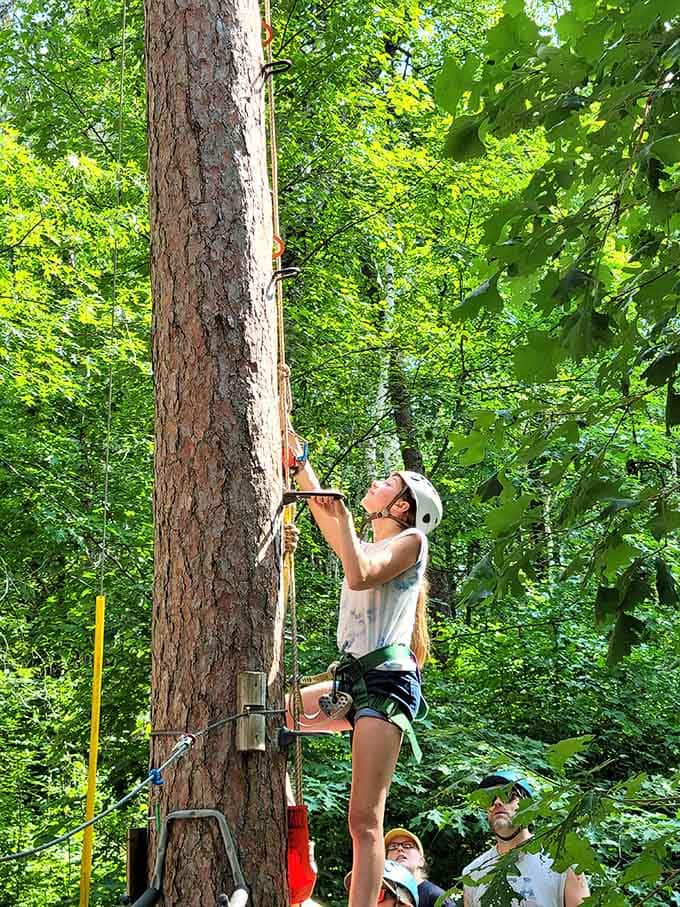 Climbing challenges await in the forest canopy where adventure meets nature in the most thrilling way possible.