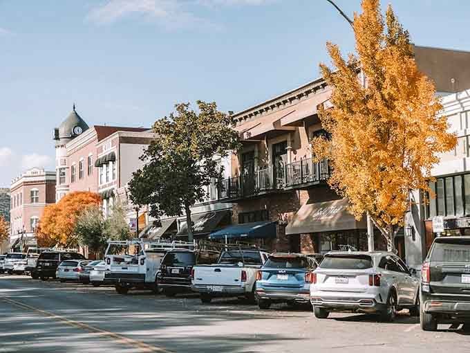 Downtown Paso Robles looks like someone built a time machine and forgot to tell anyone about it.