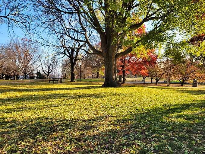 Golden autumn light painting the grass while trees show off their fall colors, this is Baltimore at its absolute finest.