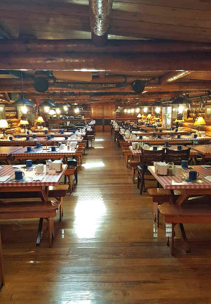 Long wooden tables and checkered cloths create a communal dining experience that feels wonderfully old-fashioned.