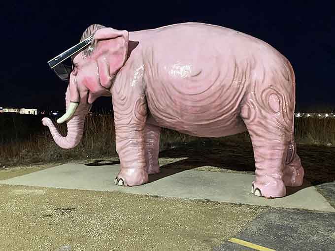 Even after dark, this magnificent pink pachyderm stands guard like a bubble-gum-colored beacon of joy.