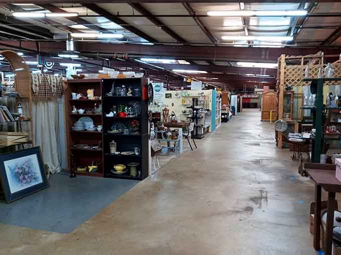 These aisles stretch on forever, each turn revealing another treasure trove waiting to be discovered by you.