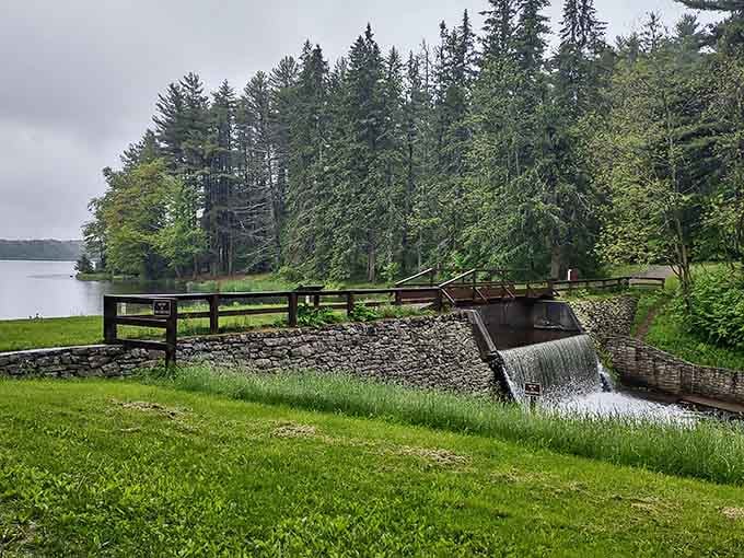 This charming spillway proves that even the park's infrastructure has more character than most tourist traps you'll find.