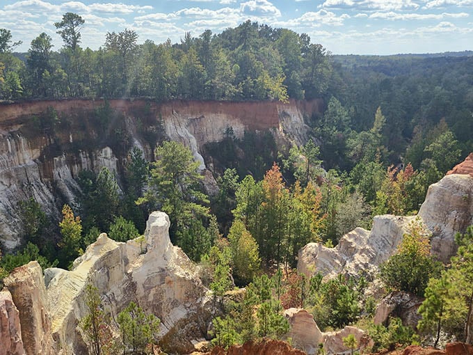 From up here, the canyon spreads out like nature's own amphitheater, complete with the best seats in the house.
