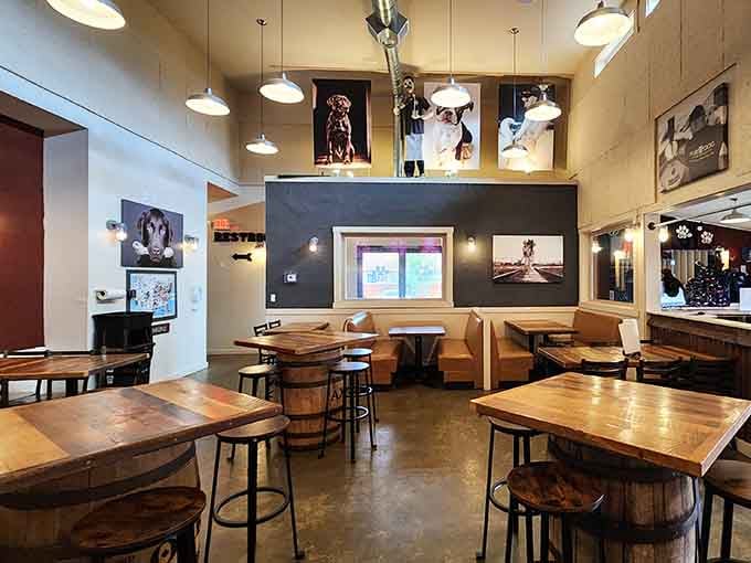 High ceilings and dog portraits create a space where canine appreciation meets craft beer culture perfectly.