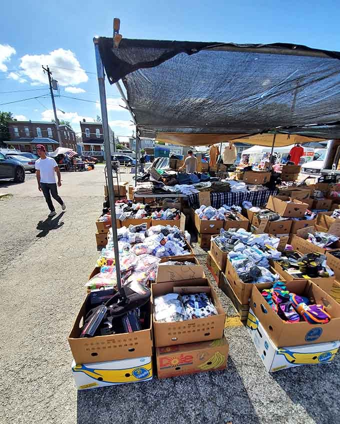 Boxes overflowing with everyday essentials prove that bulk buying doesn't require a membership card or a mortgage.