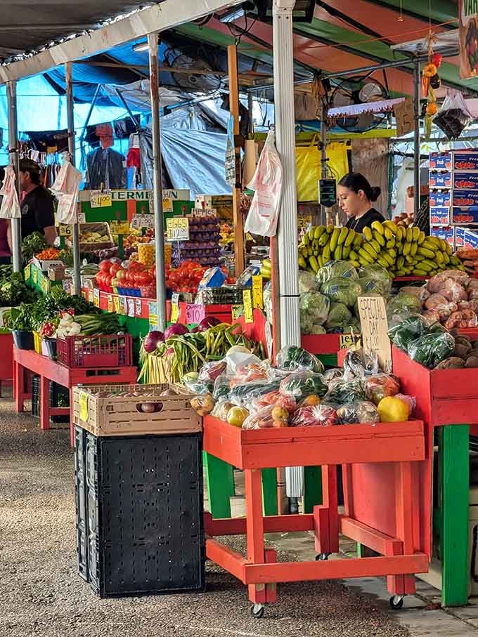 Fresh produce displayed with pride, because Florida sunshine creates vegetables that actually remember what flavor means.