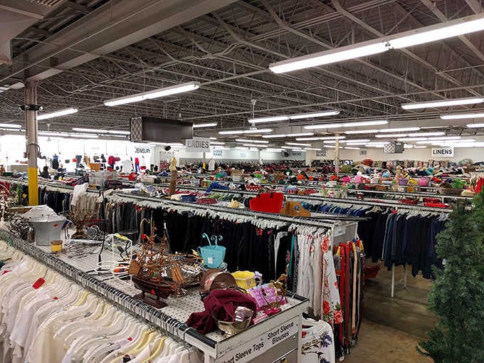 Endless aisles of possibilities stretch before you like a secondhand shopping promised land under fluorescent lights.
