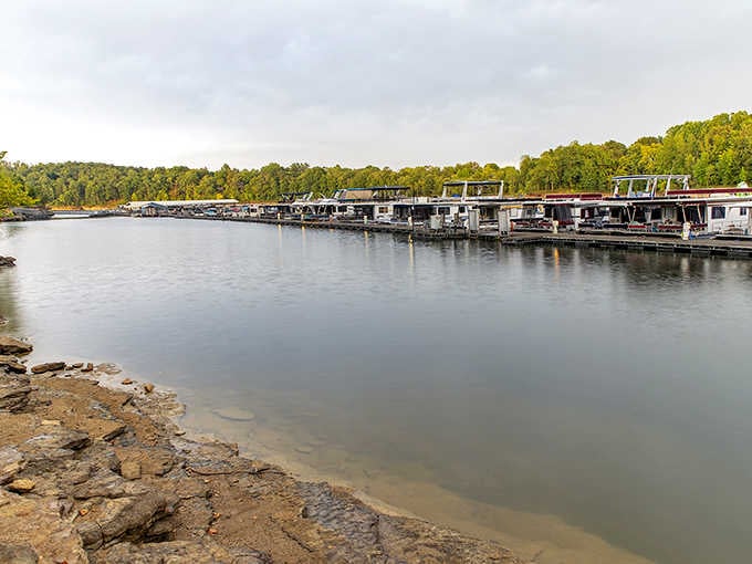 Houseboats lined up like patient guests waiting for their turn to explore 220 miles of pristine shoreline.