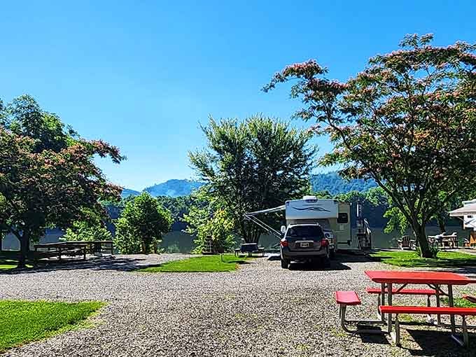 Spacious sites framed by mature trees prove camping doesn't mean sacrificing your personal space or sanity.