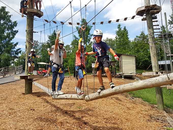 Balance is just a suggestion when you're navigating logs like a caffeinated tightrope walker in training.