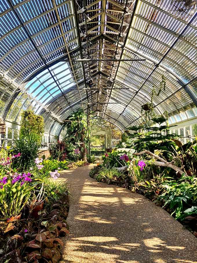 Step inside this greenhouse and suddenly you're somewhere between Jurassic Park and your most ambitious gardening daydreams come true.