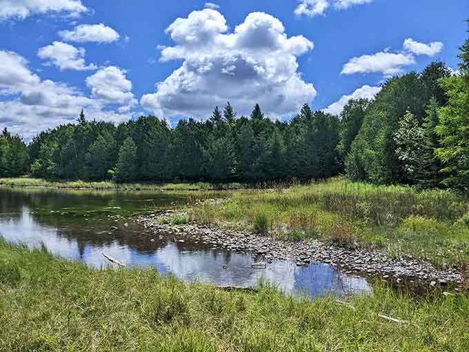 Three Springs Nature Preserve offers the kind of tranquil wetland scenery that makes you forget your phone exists.