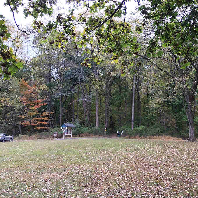 The trailhead clearing where your adventure begins, complete with information kiosk and zero excuses for getting lost.