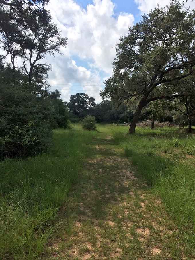 Walking trails that wind through actual trees instead of parking lots? Now that's what we call luxury camping.