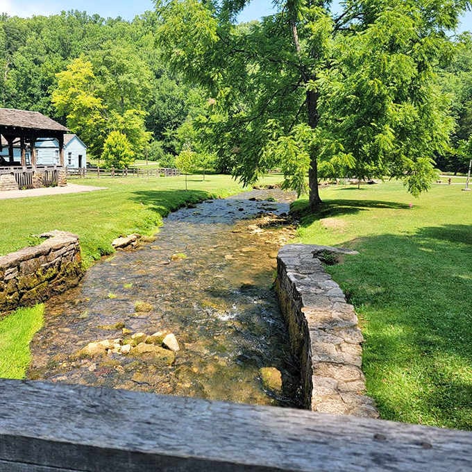 Crystal-clear spring water flowing through the village proves nature's plumbing system still works better than most apartments.