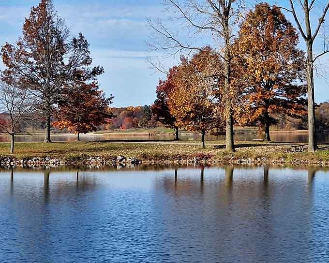 Fall colors reflecting off calm water: nature's way of showing off while you're trying to fish.