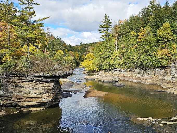 Fall transforms the Youghiogheny River into a painter's palette, proving nature has better taste than most interior designers.