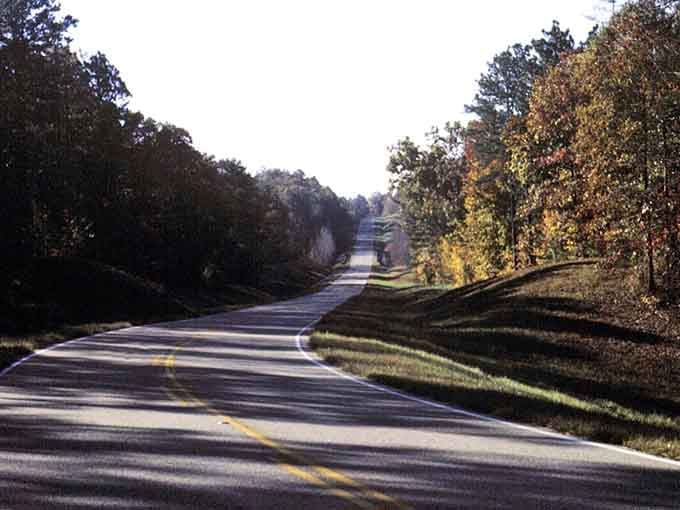 Those gentle curves aren't just for show, they're nature's way of making sure you actually slow down and look around.